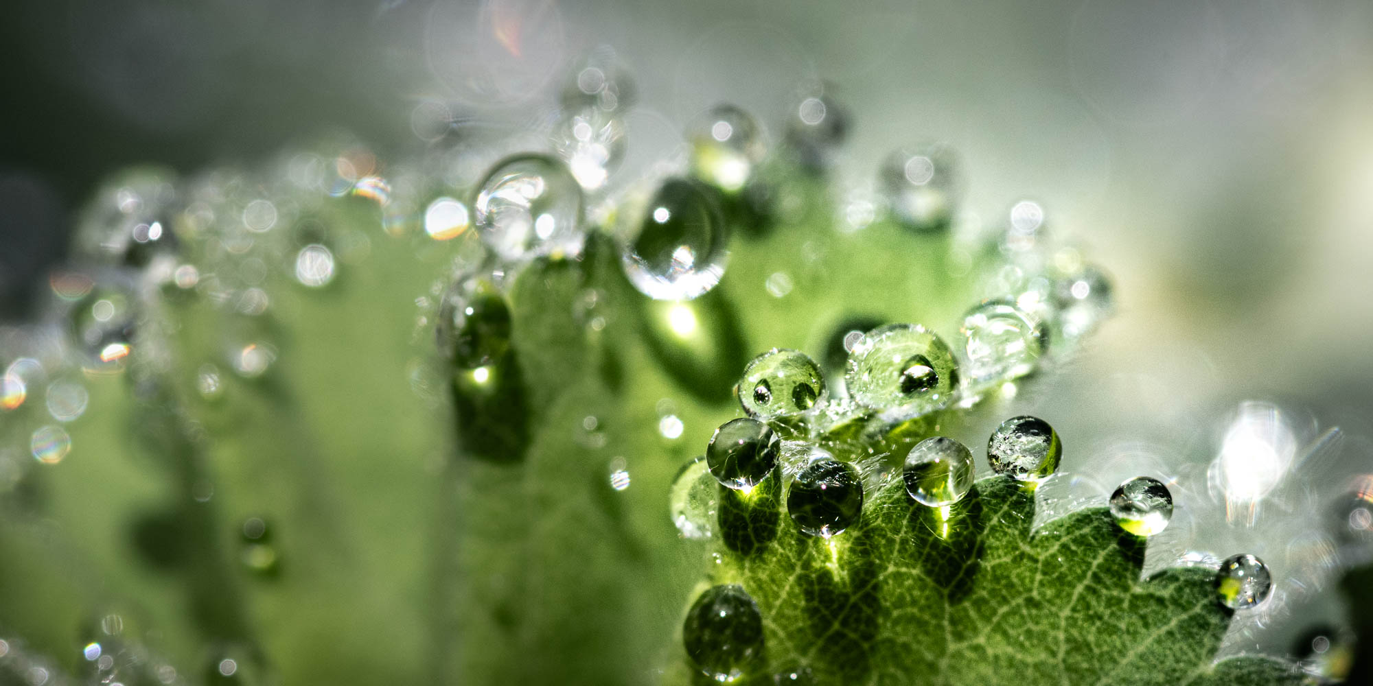 Natur- und Landschaftsfotografie Schweiz | Thomas Ruf Fotografie